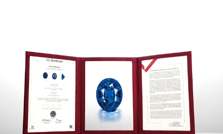 ICA | GemLab promotes core services