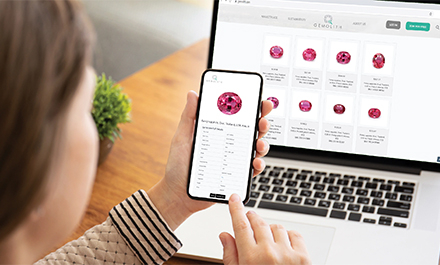 Gemfields forms vehicle to back online gemstone platform